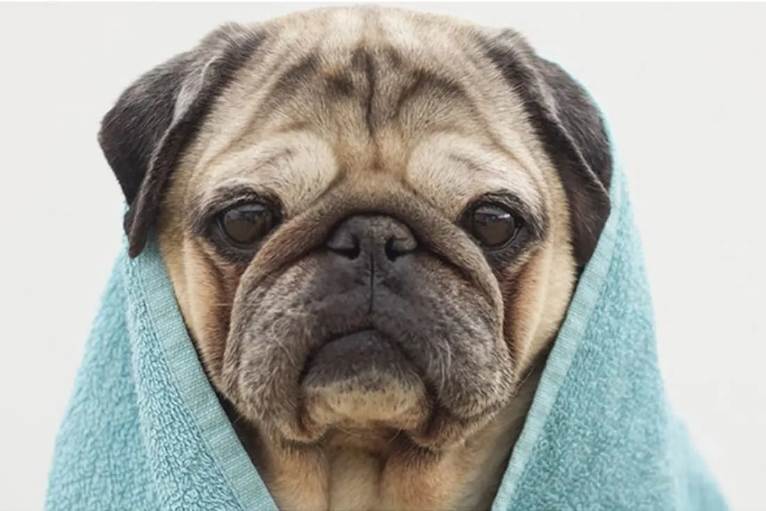 Puffy Eyes: Causes, Remedies & What To Do About Them